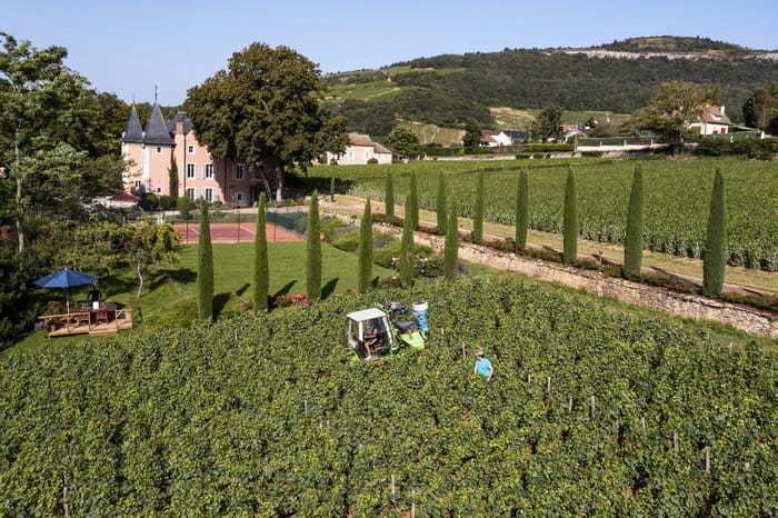 Visite & Dégustation Prestige